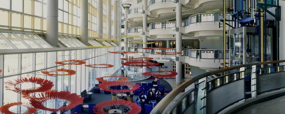 Pediatric General Surgery | Duke Department of Surgery