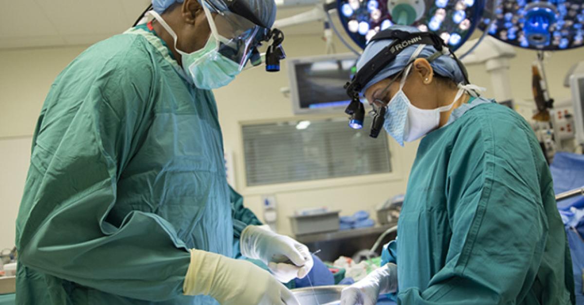 Antibody Shows Promise for Preventing Organ Rejection After ...